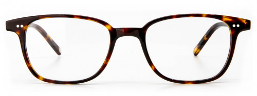 Brown Tortoise Glasses